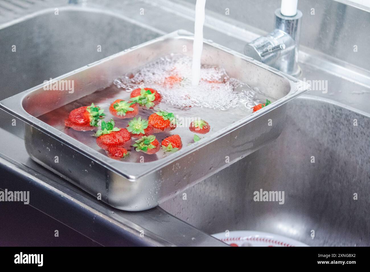 Fresh strawberries being washed in a busy kitchen sink, ready for a ...