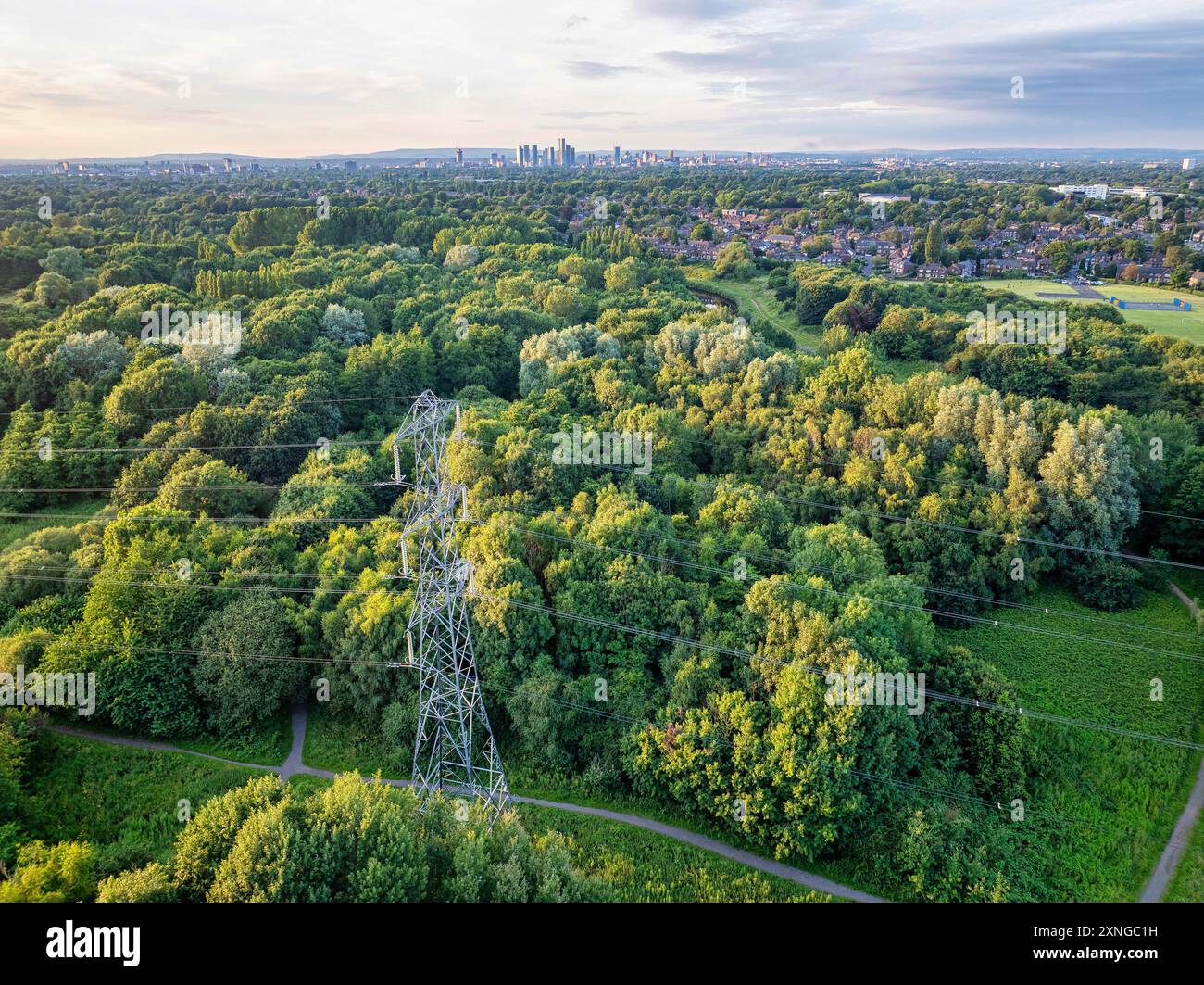 Aerial view of a suburban residential area with a city skyline in the ...