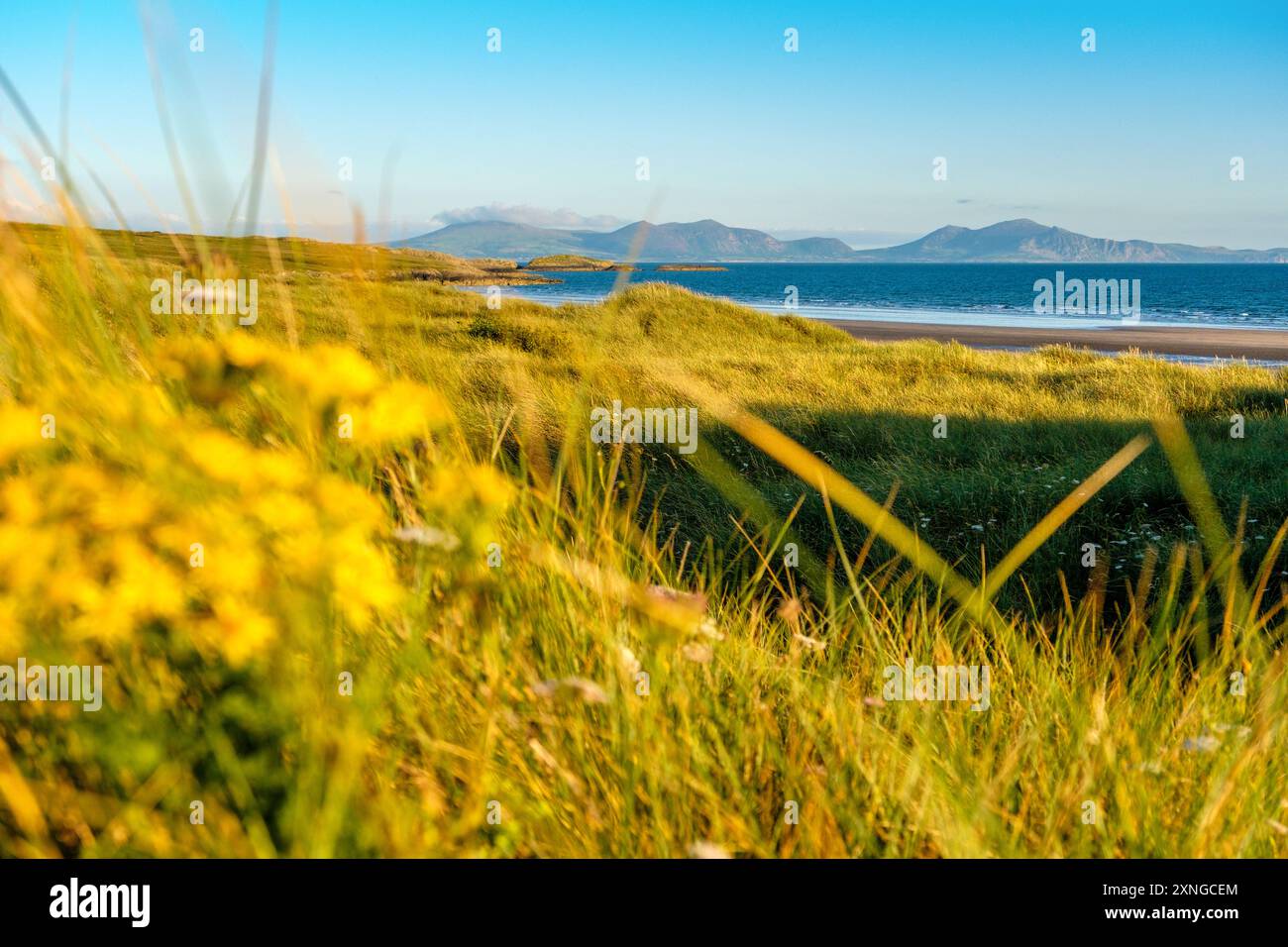 The hills of the Lleyn / Llyn Peninsula seen from the sand dunes of ...