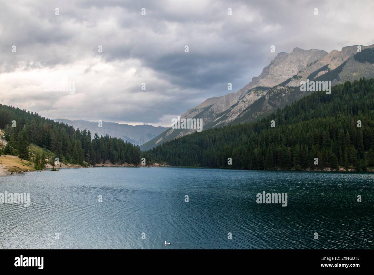 View canadian rockies reflection hi-res stock photography and images ...