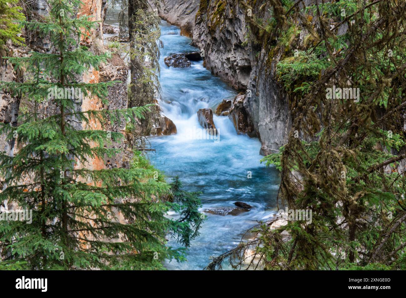 The Rapids Move Through Johnston Canyon Stock Photo - Alamy
