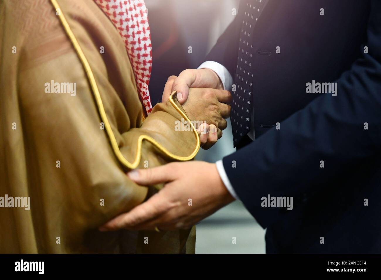 Arabic businessman giving an handshake to his business partner Stock ...