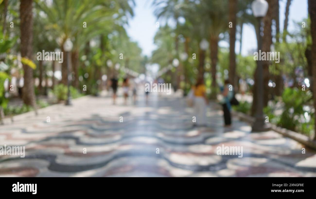 Blurred people walking on palm tree-lined promenade in alicante, spain ...
