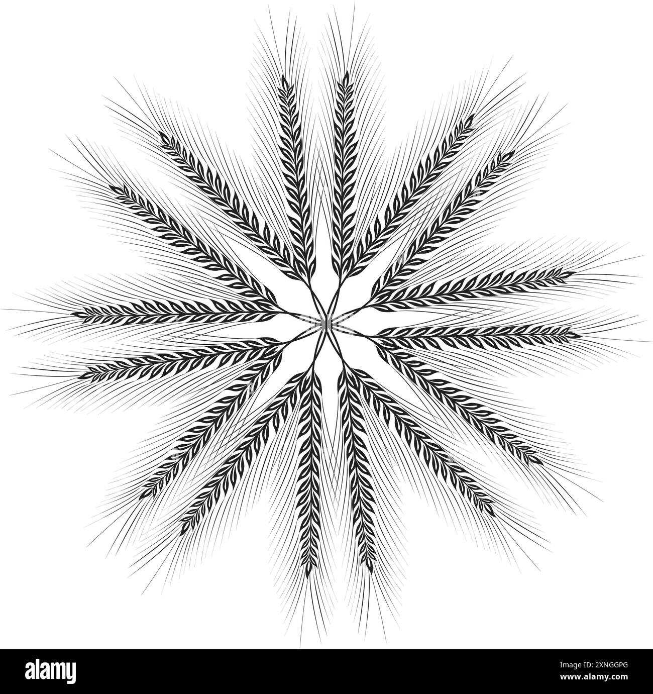 Grains plants and cereal, rye barley and wheat ear spikes. Bakery food ...