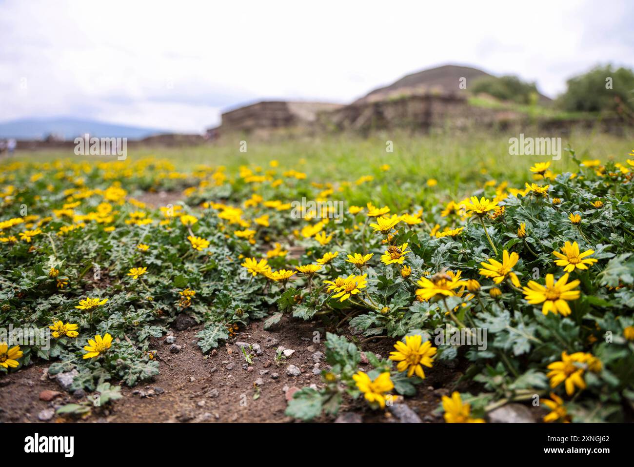 Archaeological Zone of Teotihuacan, the city with the largest pyramids ...