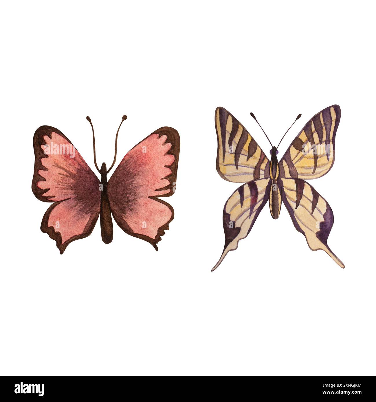 Butterfly, ladybug, beetle, bug, insects, wasp. The illustration is ...