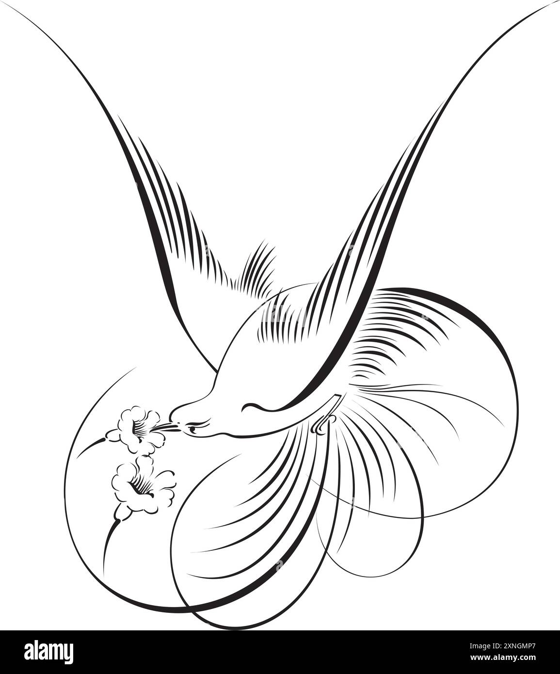 abstract bird with elegant calligraphy strokes for illustration Stock ...