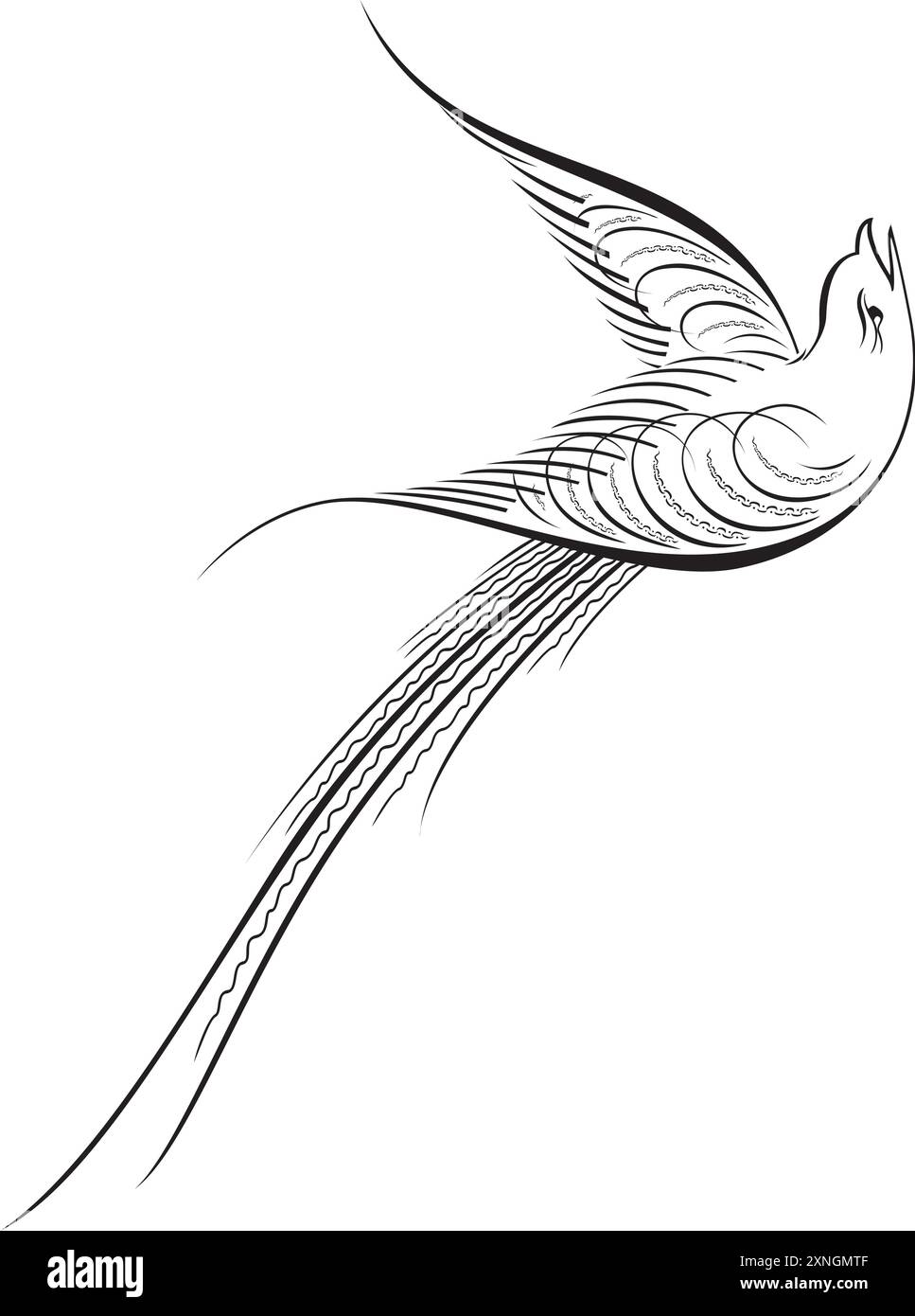 abstract bird with elegant calligraphy strokes for illustration Stock ...