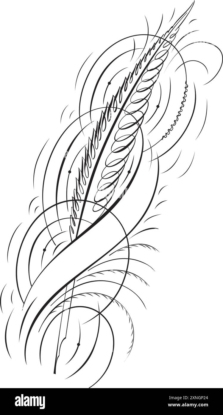 Bird feather vector illustration. Fluffy feather silhouette line art ...