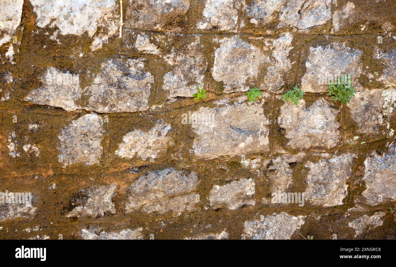 Stone texture of a grey wall. Ancient wall composed of grey coloured ...