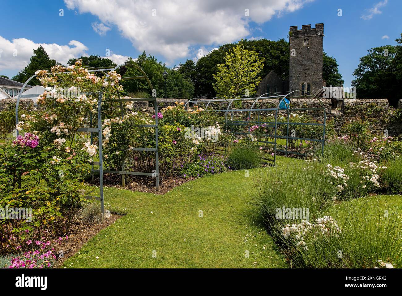 Colorful rose gardens at St Fagans Castle, Wales, UK Stock Photo - Alamy