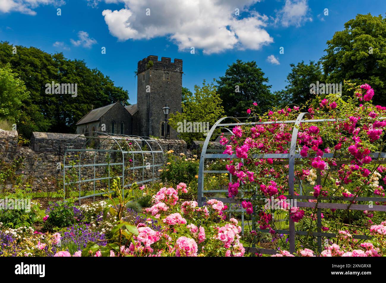 Colorful rose gardens at St Fagans Castle, Wales, UK Stock Photo - Alamy