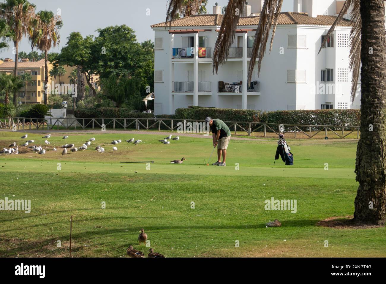 Costa ballena ocean golf club hi-res stock photography and images - Alamy