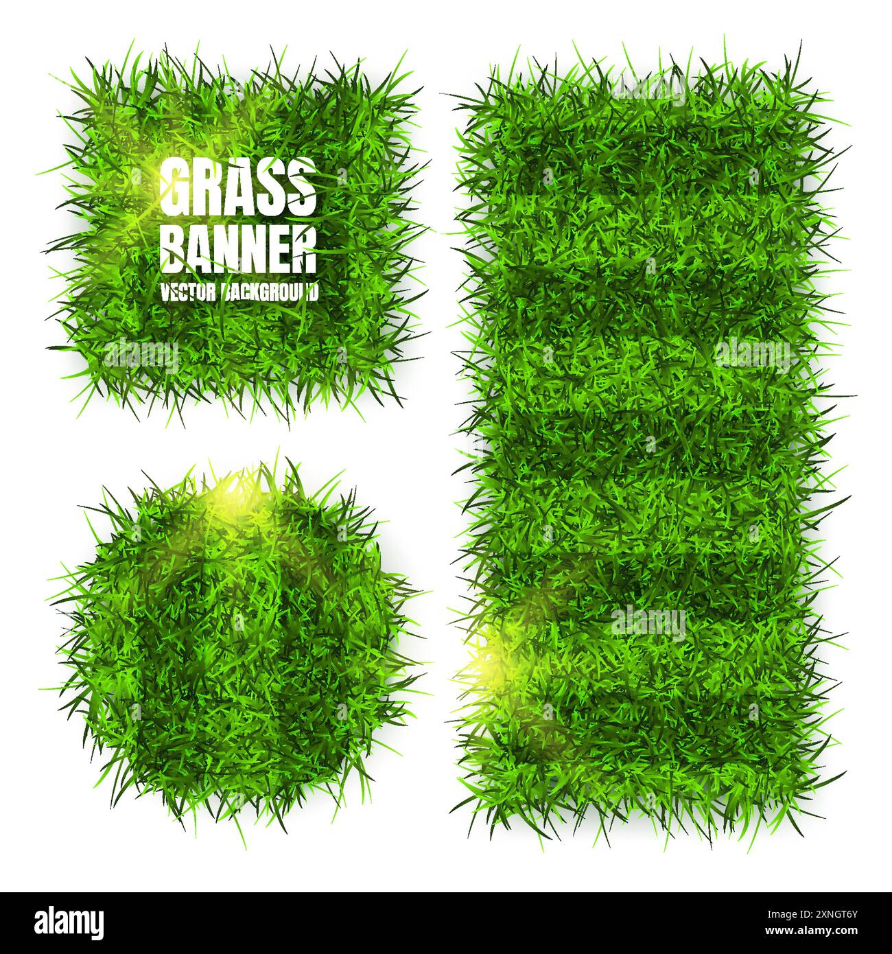 Green grass banners, background. Field, meadow texture, grassy ...