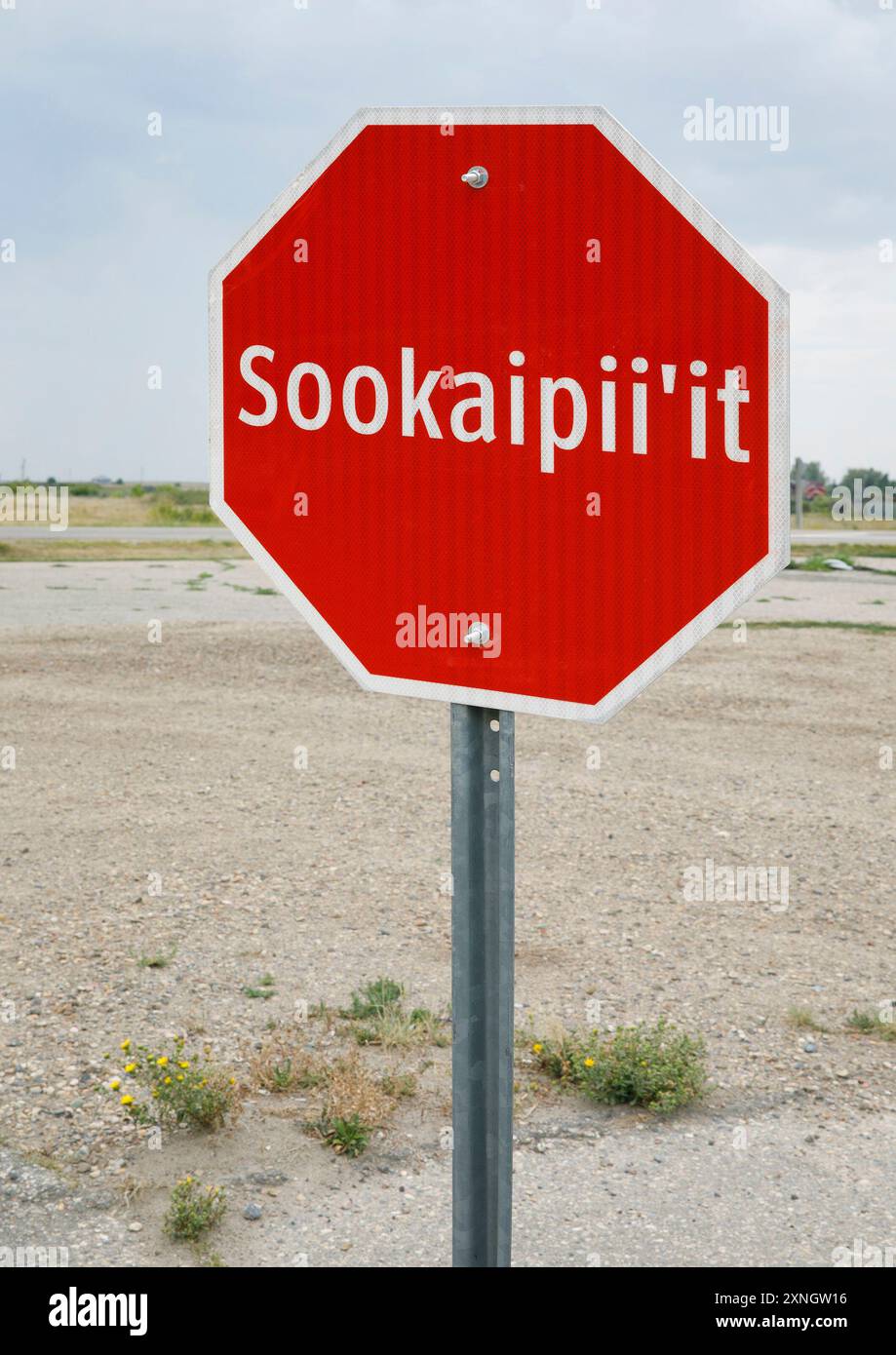 The indian sign language hi-res stock photography and images - Alamy