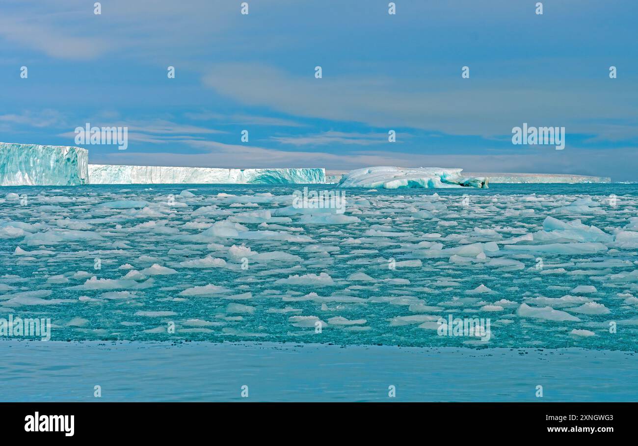 Floating Ice and Icebergs From a Massive Tidal Glacier at ...