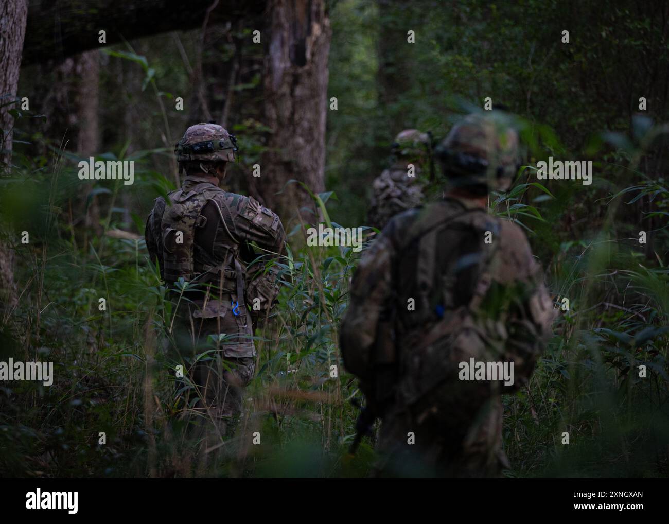 A group of Soldiers with Charlie Co. 1-167 Infantry Regiment, move in a ...