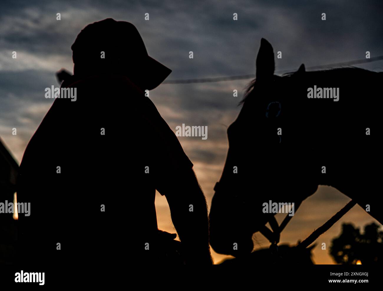 The 1st Infantry Division, Headquarters and Headquarters Battalion ...