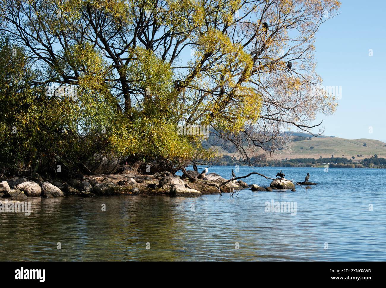 Lakeside scenic beauty hi-res stock photography and images - Alamy