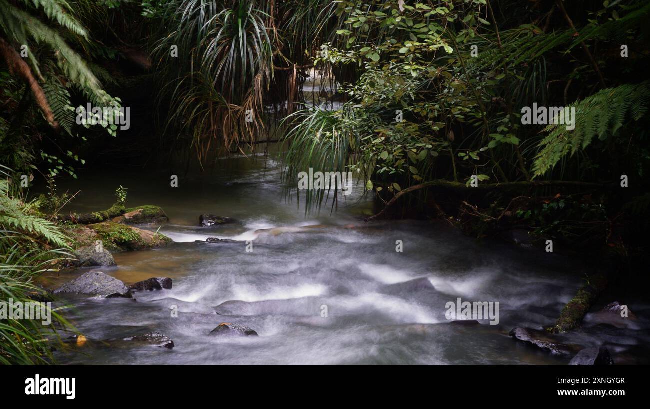 New Zealand River Stock Photo - Alamy