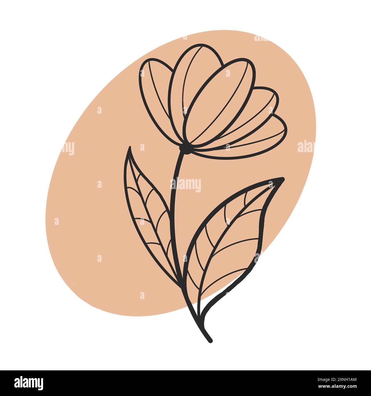 Illustration with line drawing flowers Stock Photo - Alamy