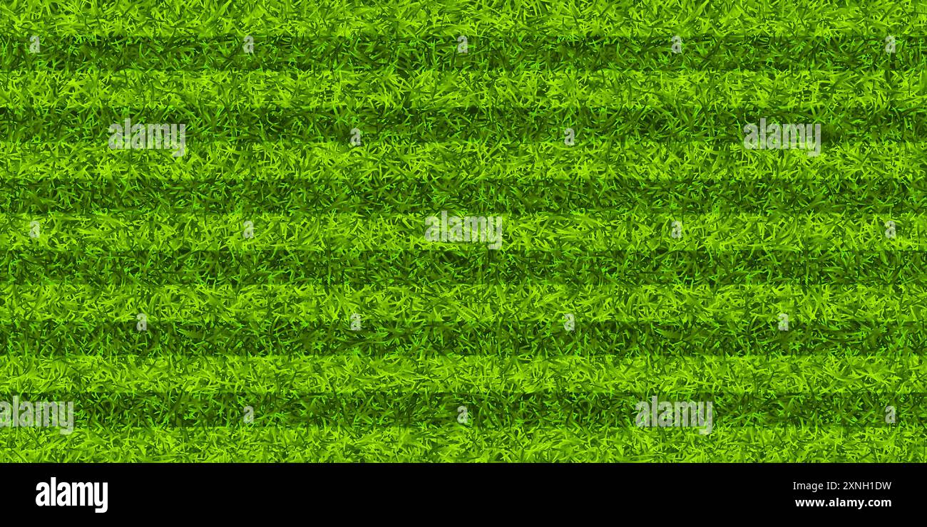 Soccer playing field with green grass. Football pitch background with ...