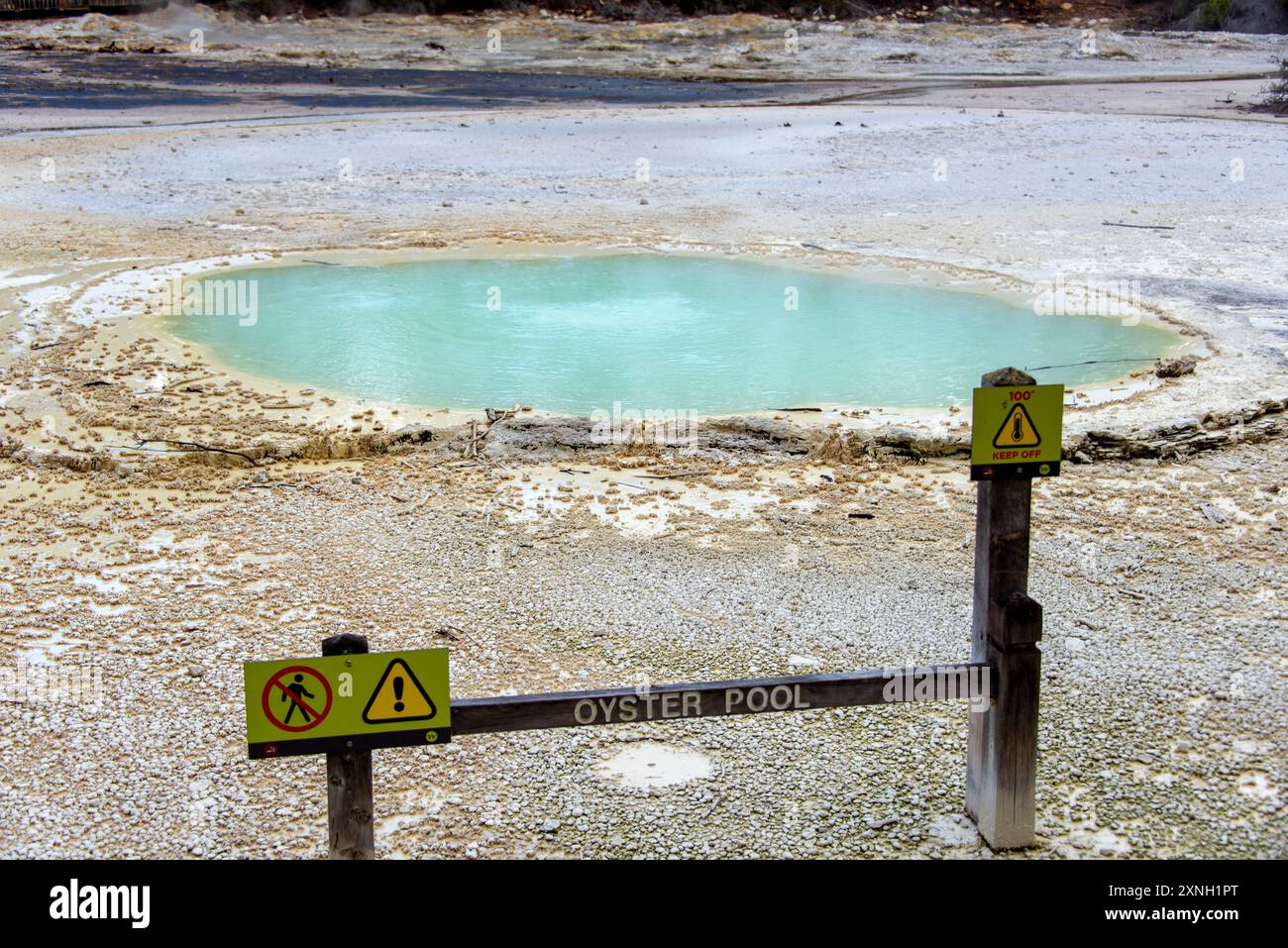 Oyster Pool in Waiotapu Thermal Wonderland - New Zealand Stock Photo ...