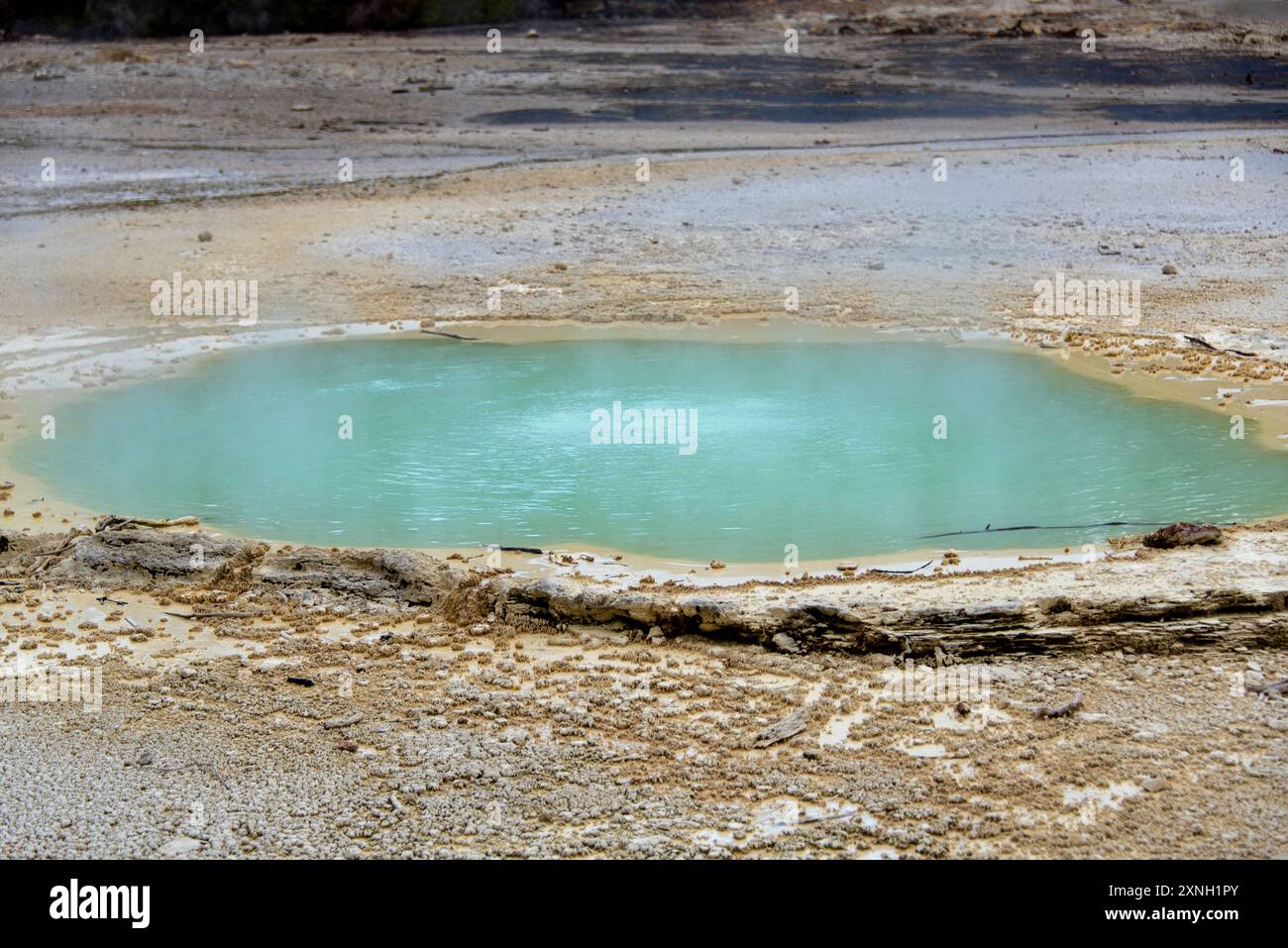 Oyster Pool in Waiotapu Thermal Wonderland - New Zealand Stock Photo ...