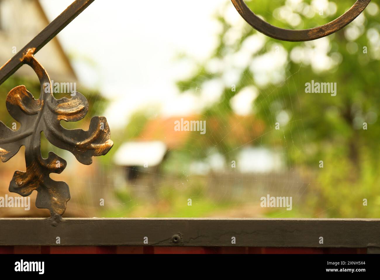 Cobweb on wrought iron fence scrolls outdoors, closeup Stock Photo - Alamy