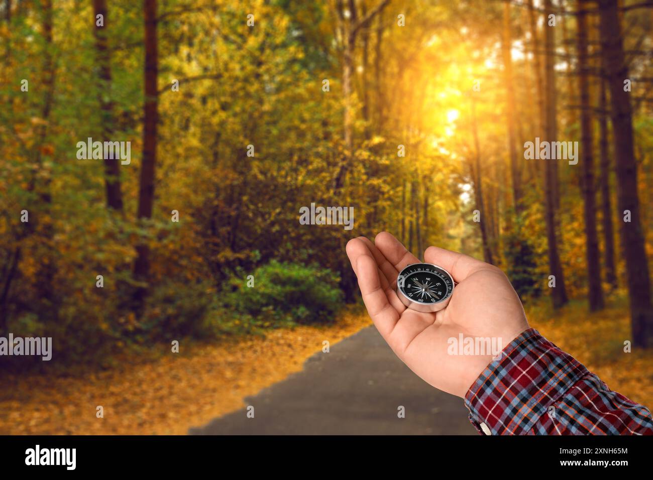 Compass in hand on natural hi-res stock photography and images - Alamy