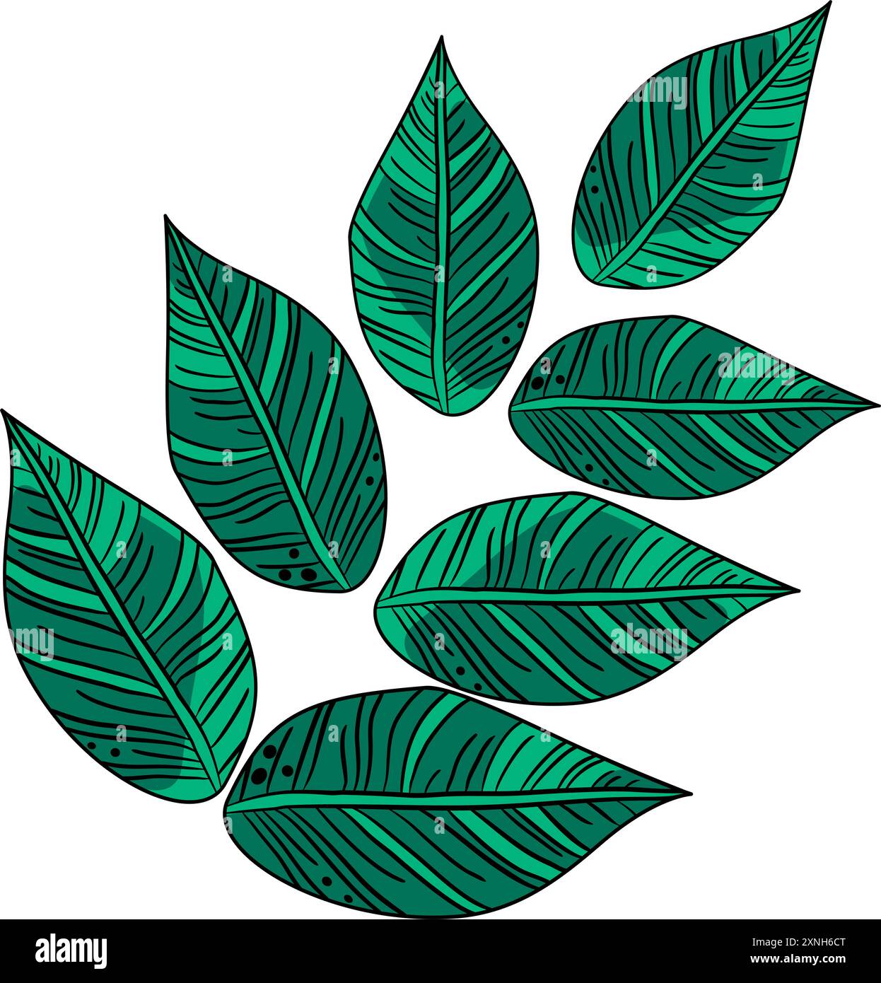 Tropical branch with decorative leaves vector illustration Stock Vector ...