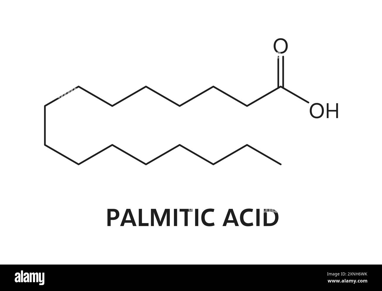 Fatty Acid Molecule Structure