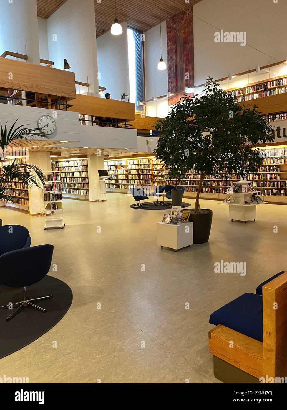 Modern library interior with rows of bookshelves and natural light ...