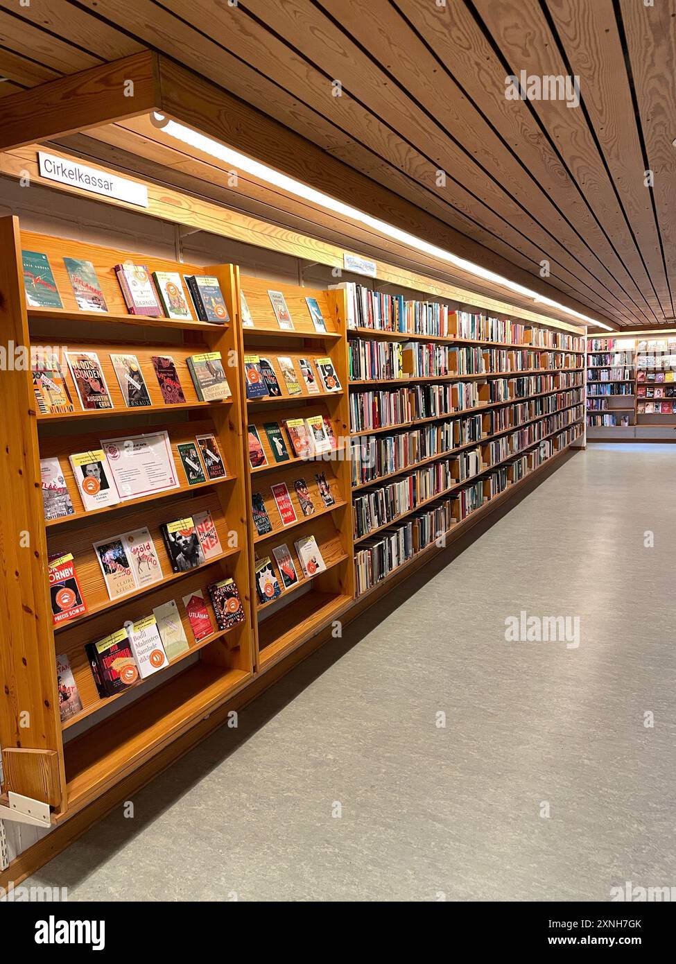 Modern library interior with rows of bookshelves and natural light ...