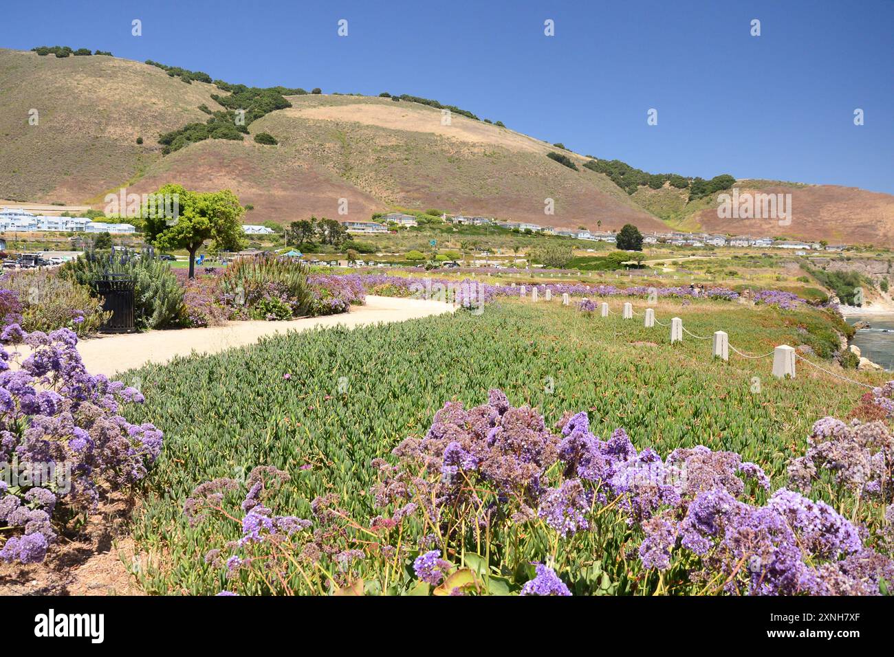 Dinosaur Caves Park, Pismo Beach, California Stock Photo - Alamy