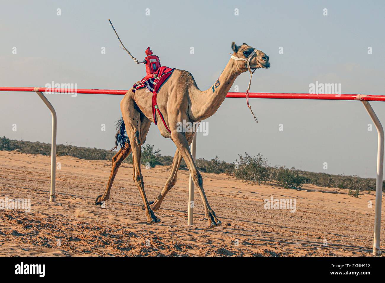 El alamein city egypt hi-res stock photography and images - Alamy