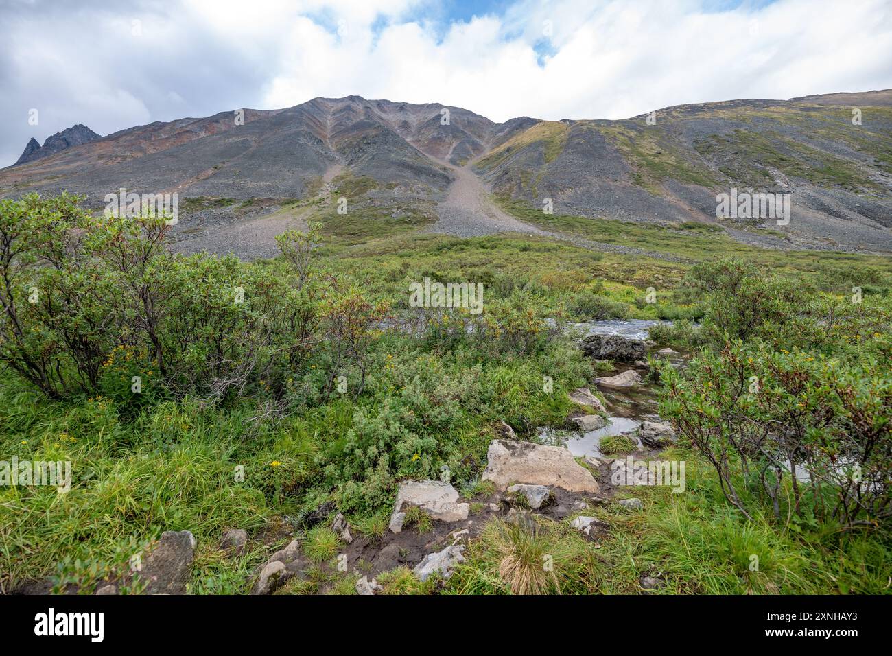 Stunning, scenic views in backcountry area of Tombstone Territorial ...
