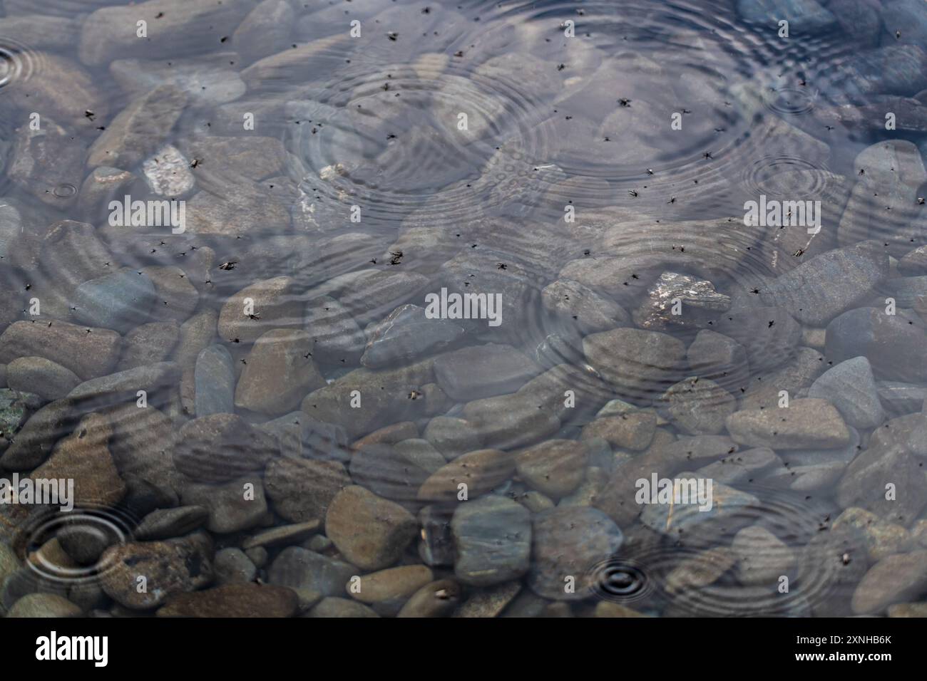 Background image of clear water with rocks below the surface in summer ...