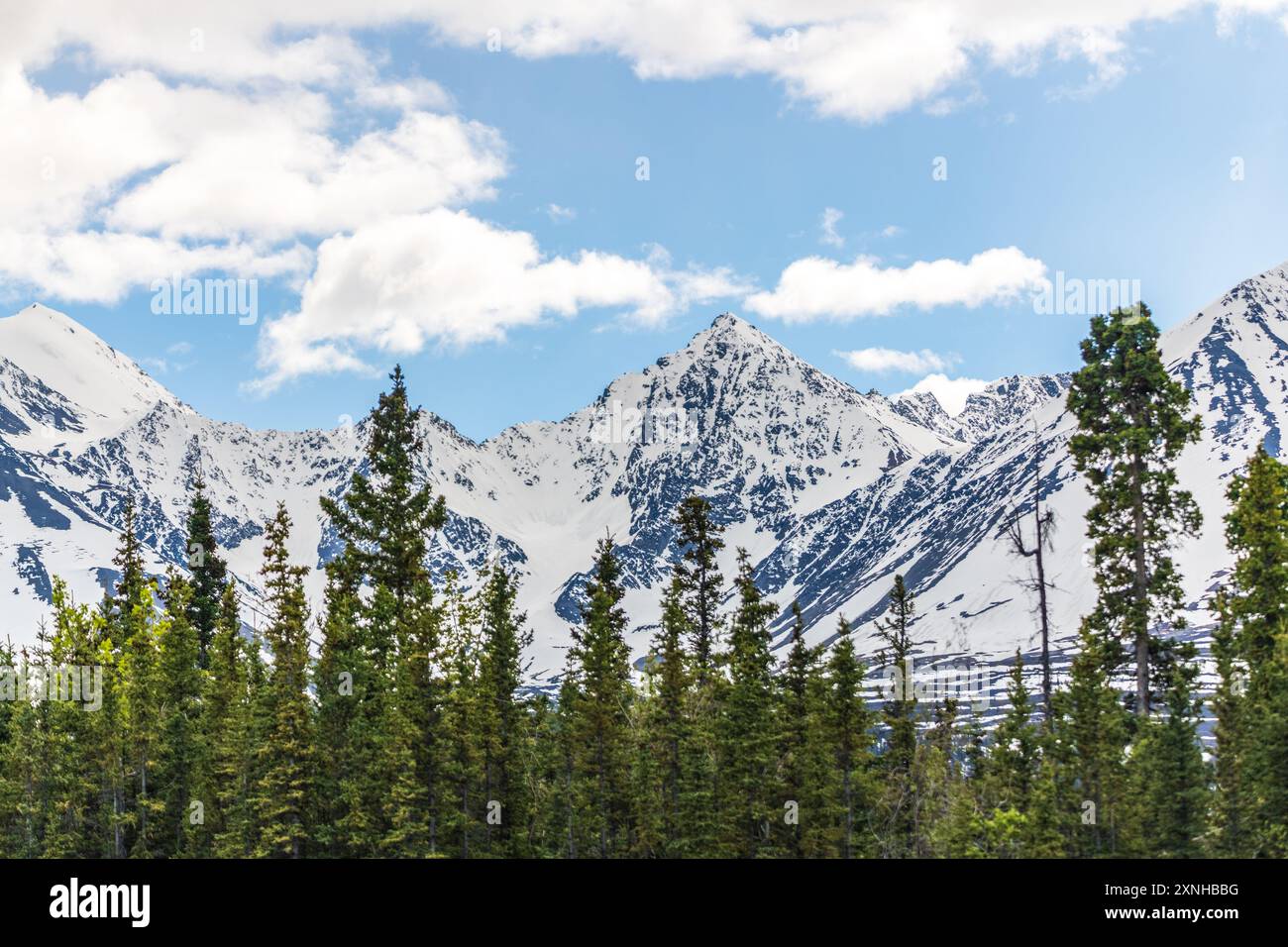 Stunning spring time scenery in Haines Junction during May with ...