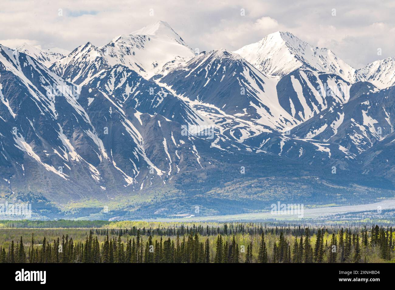 Stunning spring time scenery in Haines Junction during May with ...