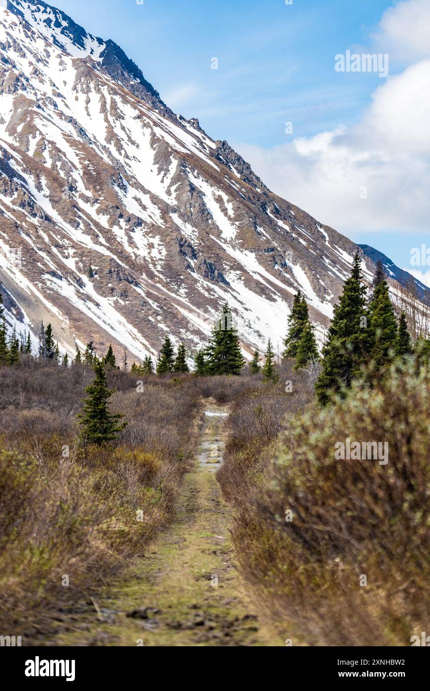 Isolated, wilderness hiking trail in northern Canada heading to the St ...