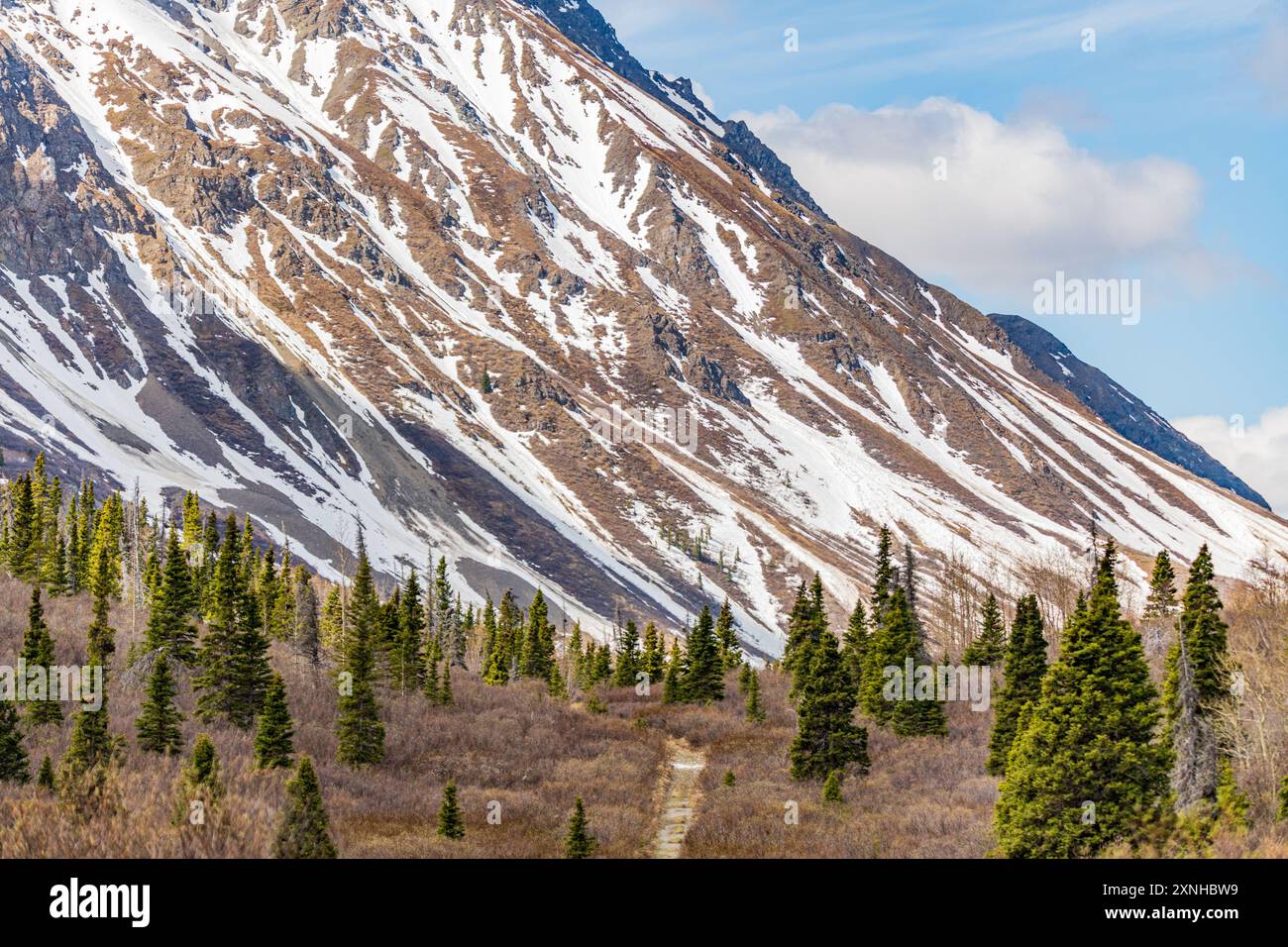 Isolated, wilderness hiking trail in northern Canada heading to the St ...