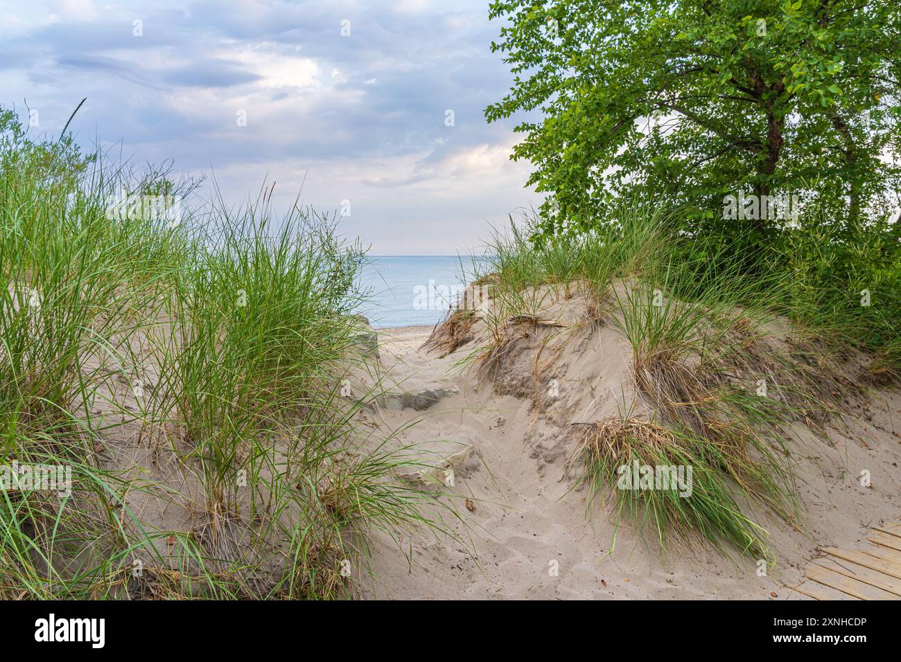 Path through the sand dunes at the beach in Kincardine Ontario Stock ...