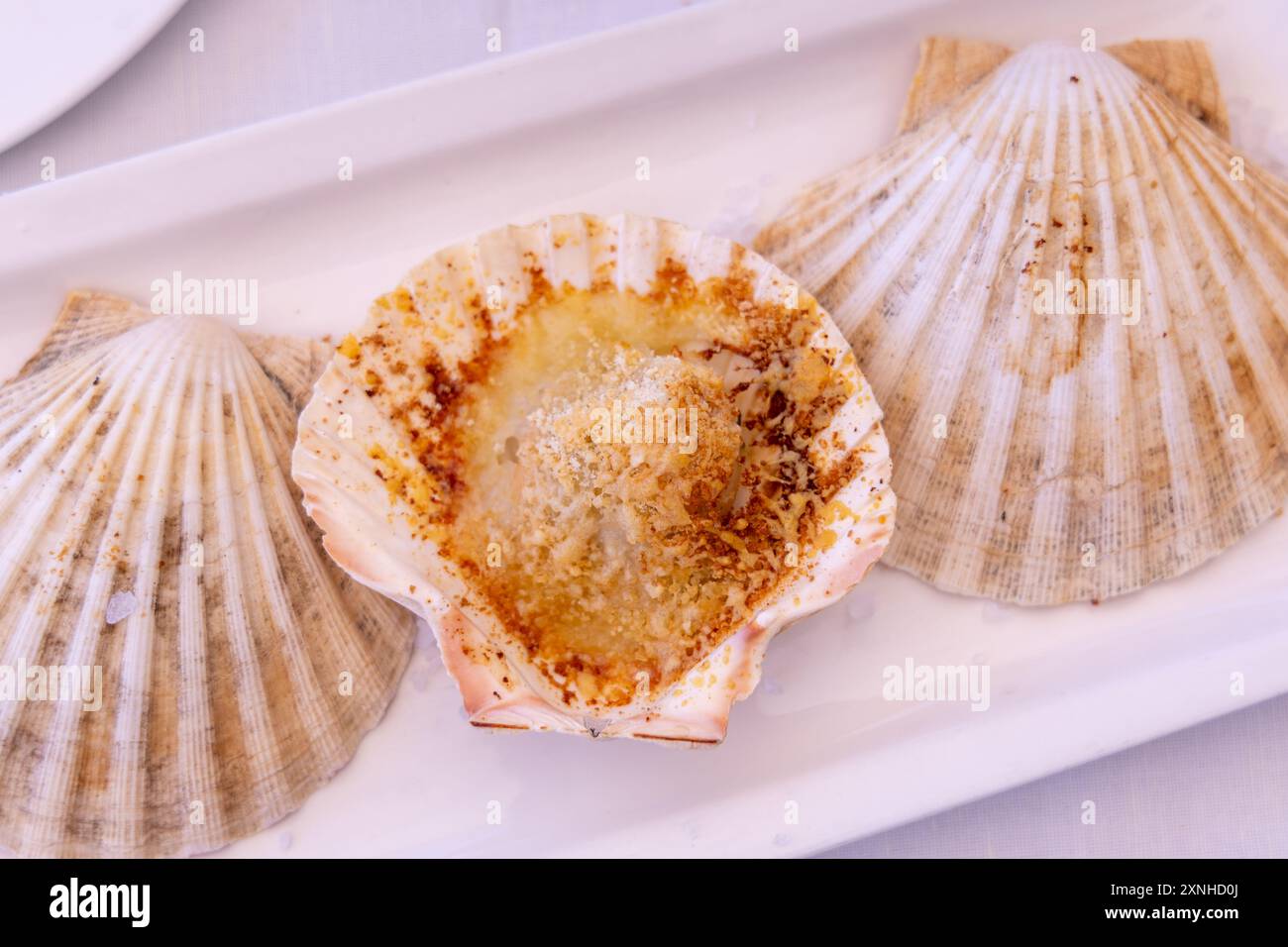 grilled scallop in clam shell on white plate Stock Photo - Alamy