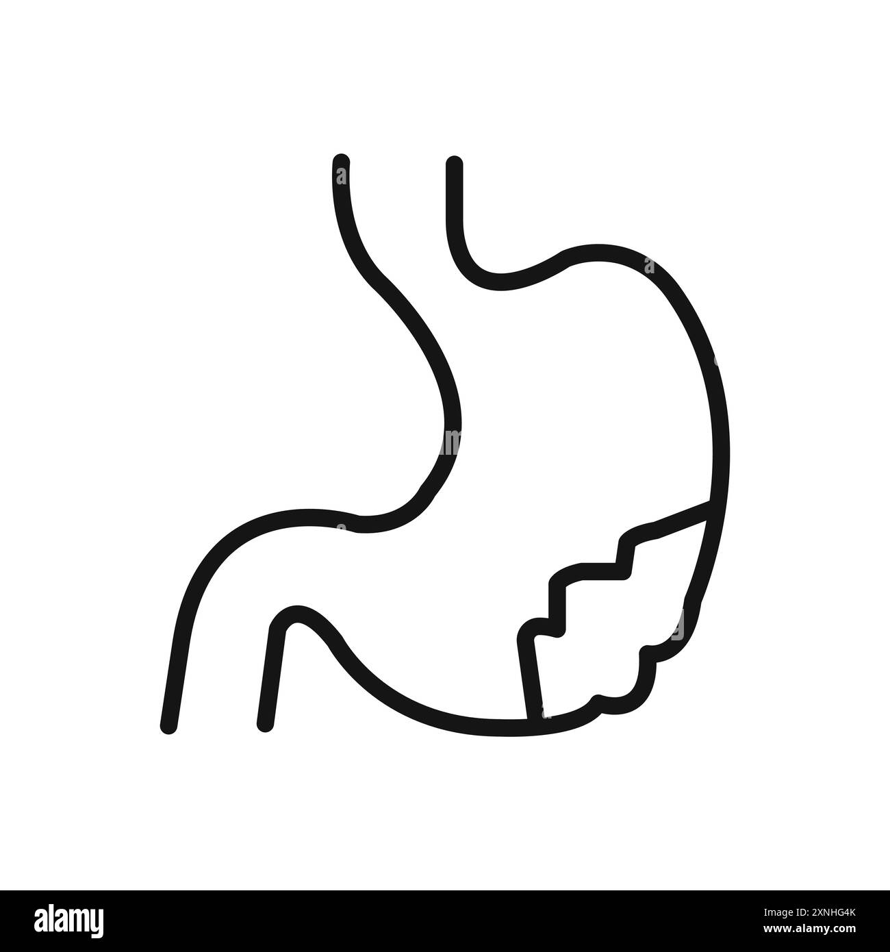 Gastritis vector vectors Black and White Stock Photos & Images - Alamy