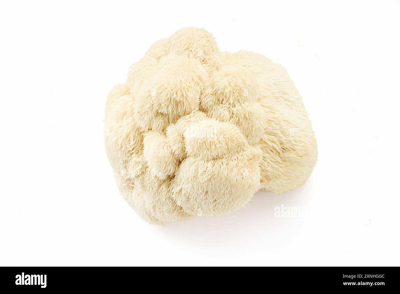 Smooth mushroom Cut Out Stock Images & Pictures - Alamy
