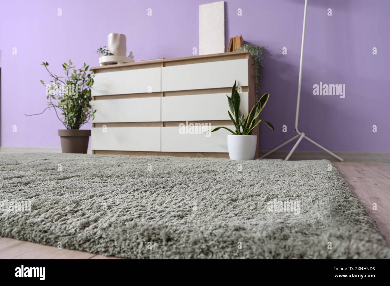 Interior of living room with grey carpet, drawers and plants Stock ...
