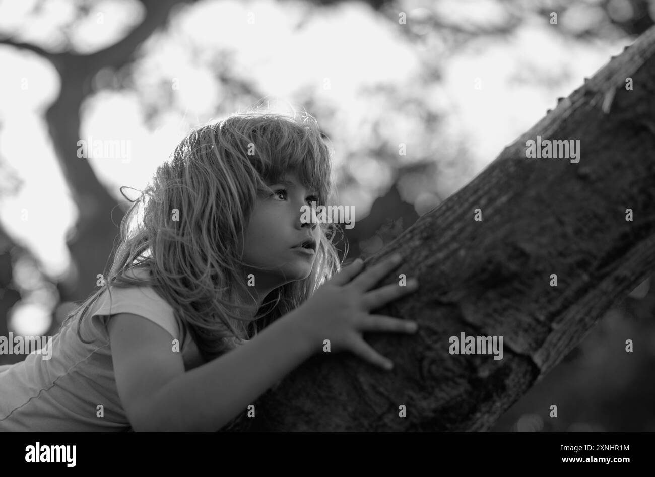 Kid boy playing and climbing a tree and hanging branch Stock Photo - Alamy