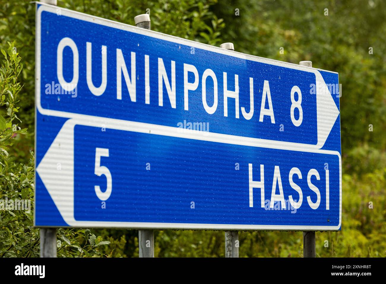 ambiance during the Rally Finland 2024, 9th round of the 2024 WRC World ...