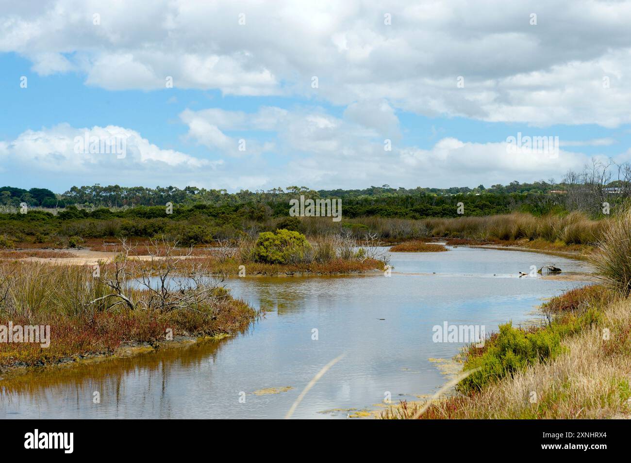 Australian coastal marshes hi-res stock photography and images - Alamy